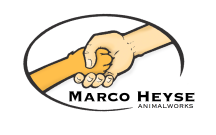 Marco Heyse animalworks - Home